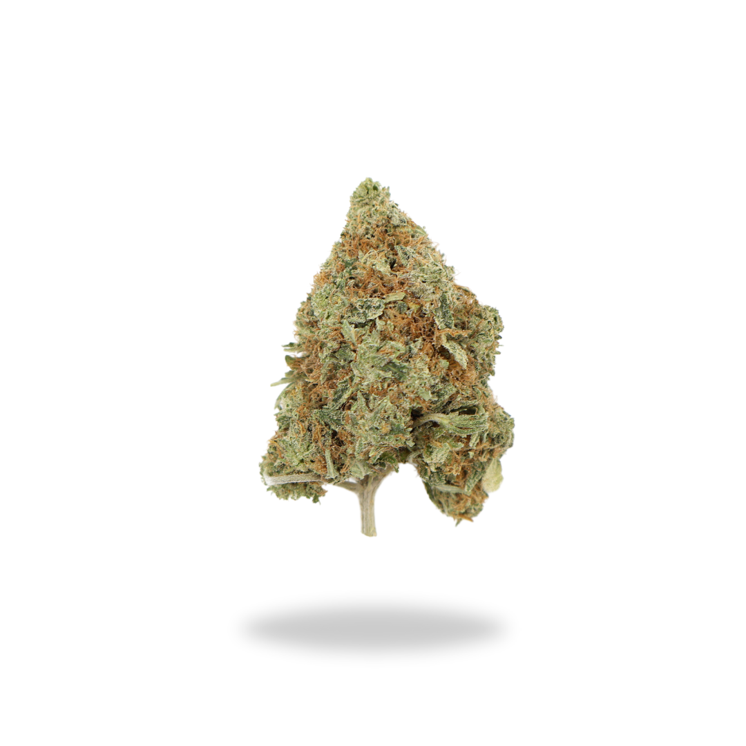 Buy Weed Online With Buds2Go The Evolution Of Mail Order Marijuana